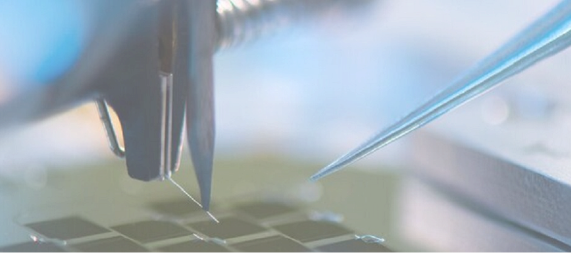 SIOE 2022 call for abstracts